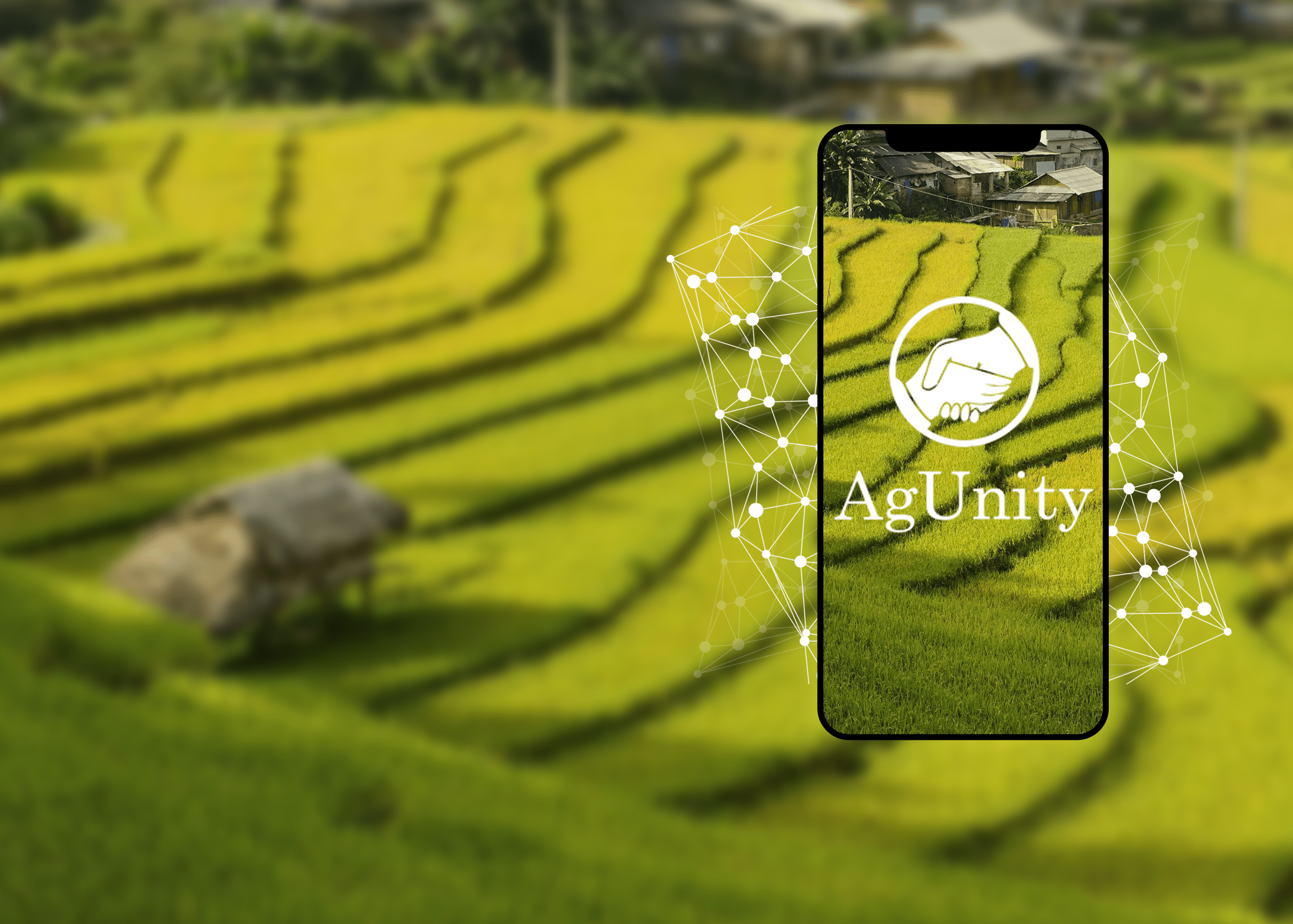 AgUnity: Blockchain-Based Accounting Service for Farmers